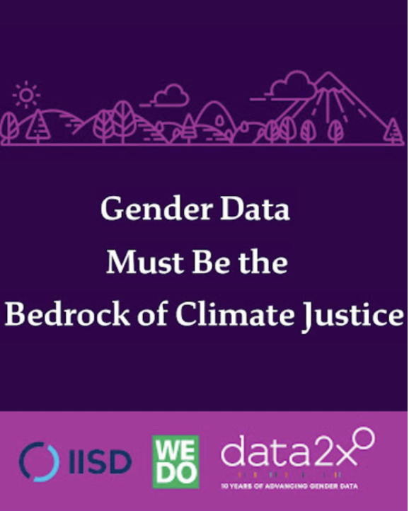 Issue 1: GEDA Insights - Gender + Environment Data Alliance (GEDA)